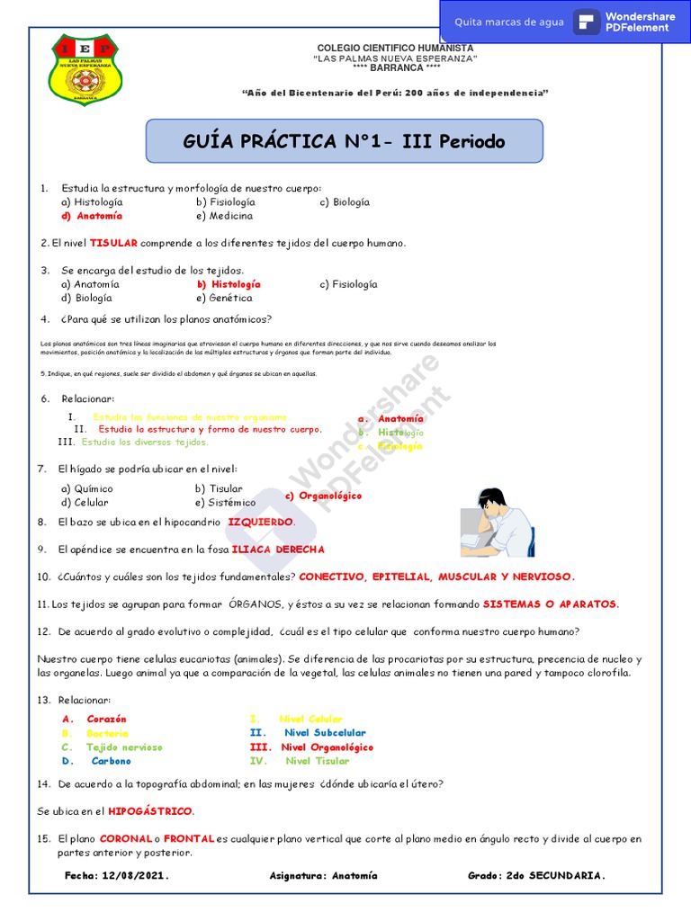 Guia Practica N1 | PDF | Biología Celular) | Cuerpo humano
