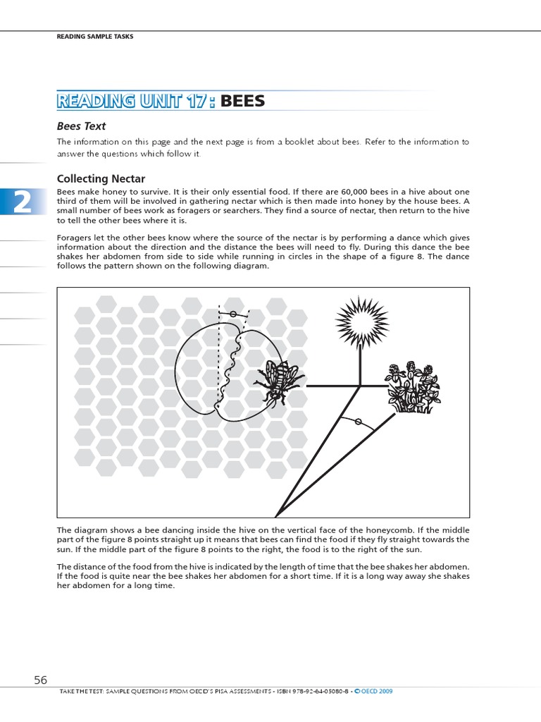 Reading Unit 17:: Bees Text | PDF | Honey | Bees