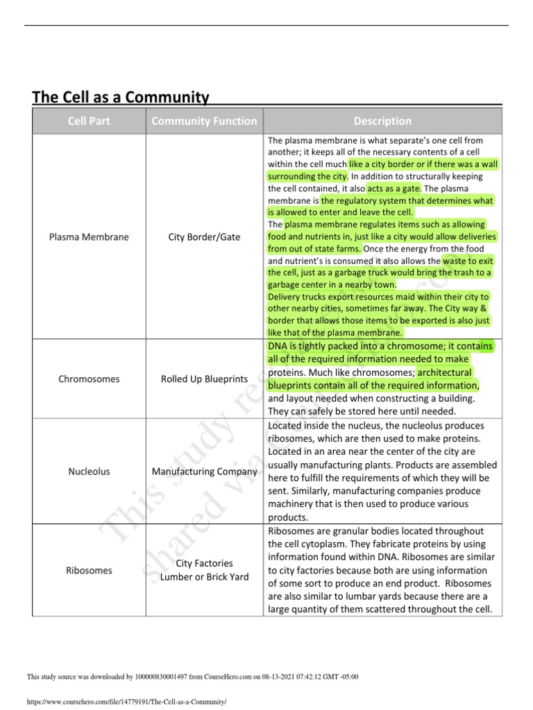 This Study Resource Was: The Cell As A Community | PDF | Endoplasmic ...