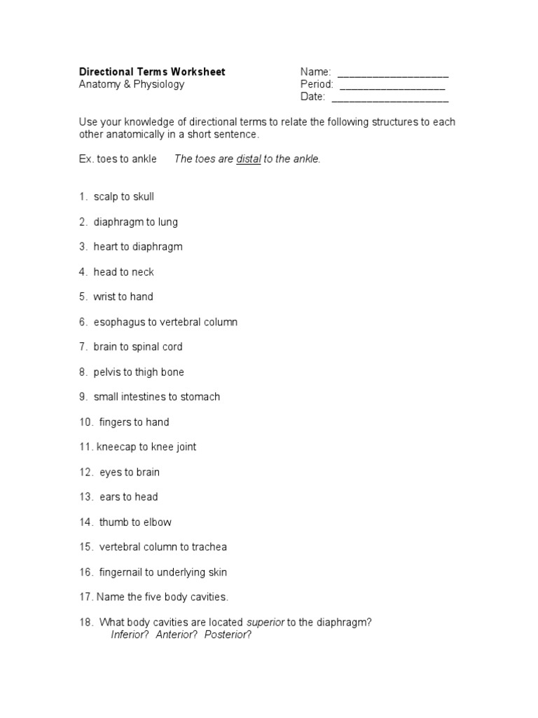 Directional Terms Worksheet | PDF | Foreign Language Studies