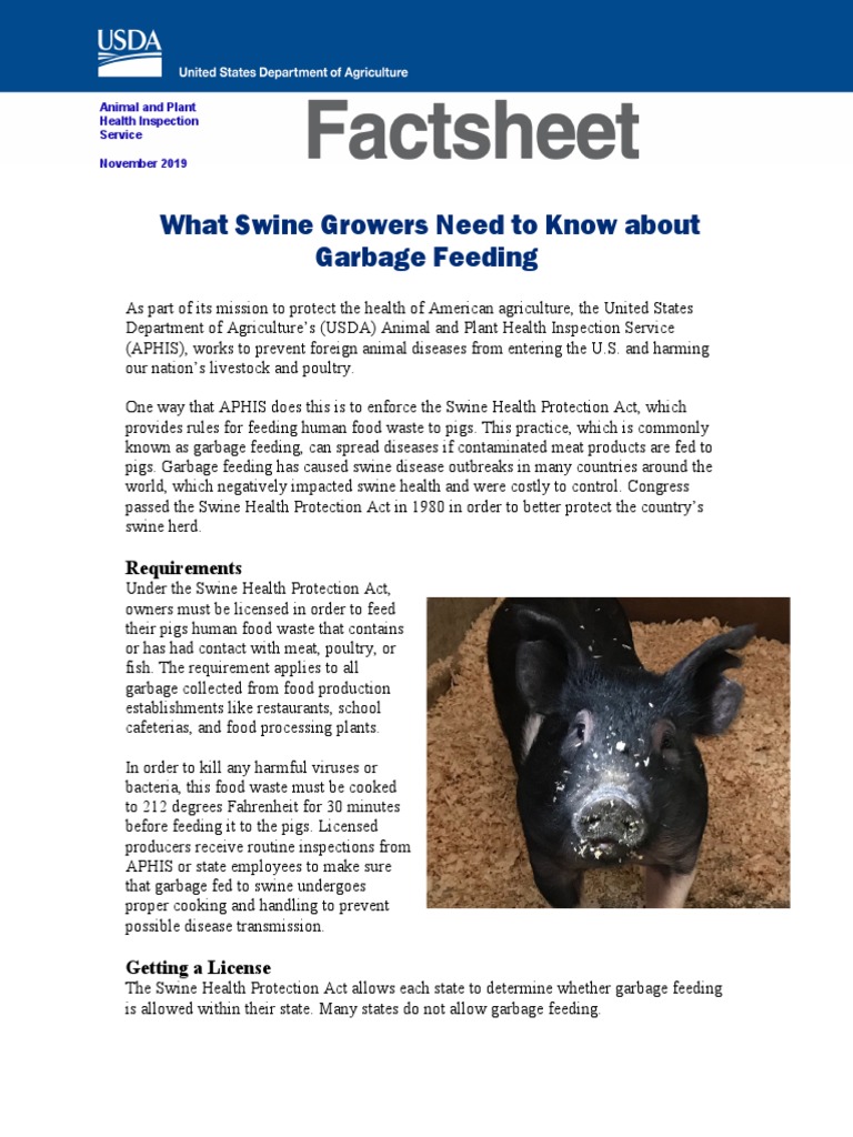 Fs Swine Producers Garbage Feeding | PDF | Domestic Pig | Foods