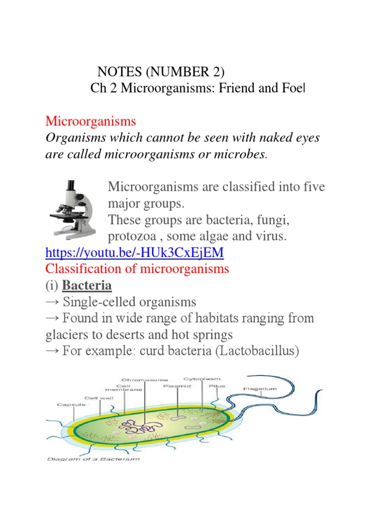 Microorganisms: Types and Uses | PDF | Microorganism | Food Preservation
