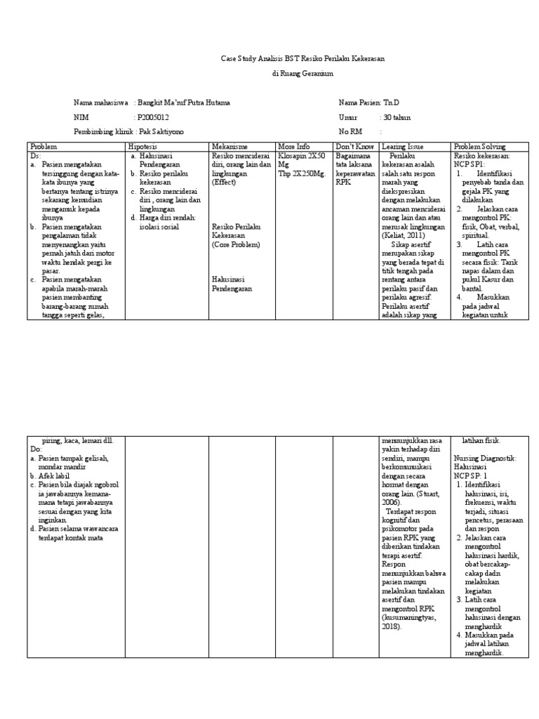 Case Study Analisis BST Resiko Perilaku Kekerasan | PDF