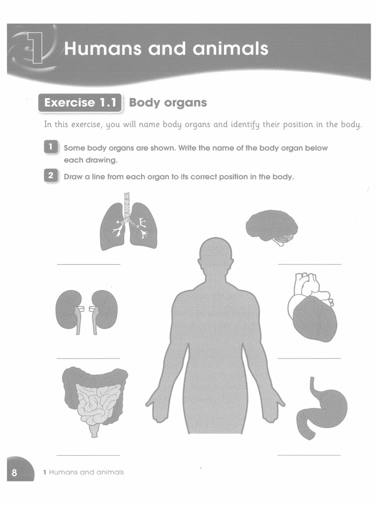 P6 Sci Activity Book 6 Unit1 | PDF