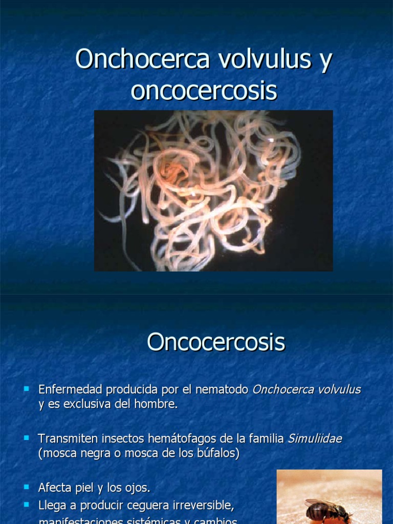 Onchocerca Volvulus y Oncocercosis | PDF | Zoología | Biología