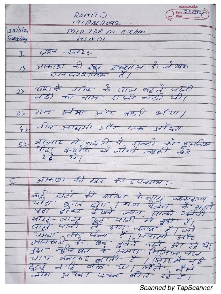 HINDI Mid Term Exam | PDF