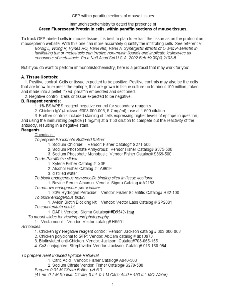 GFP Immunostaining Protocol for Mouse Tissues | PDF ...