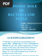 Wound Classification Chart 141 | PDF | Wound | Topical Medication