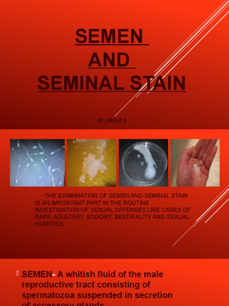 Semen AND Seminal Stain: By: Group 3 | PDF | Semen | Staining