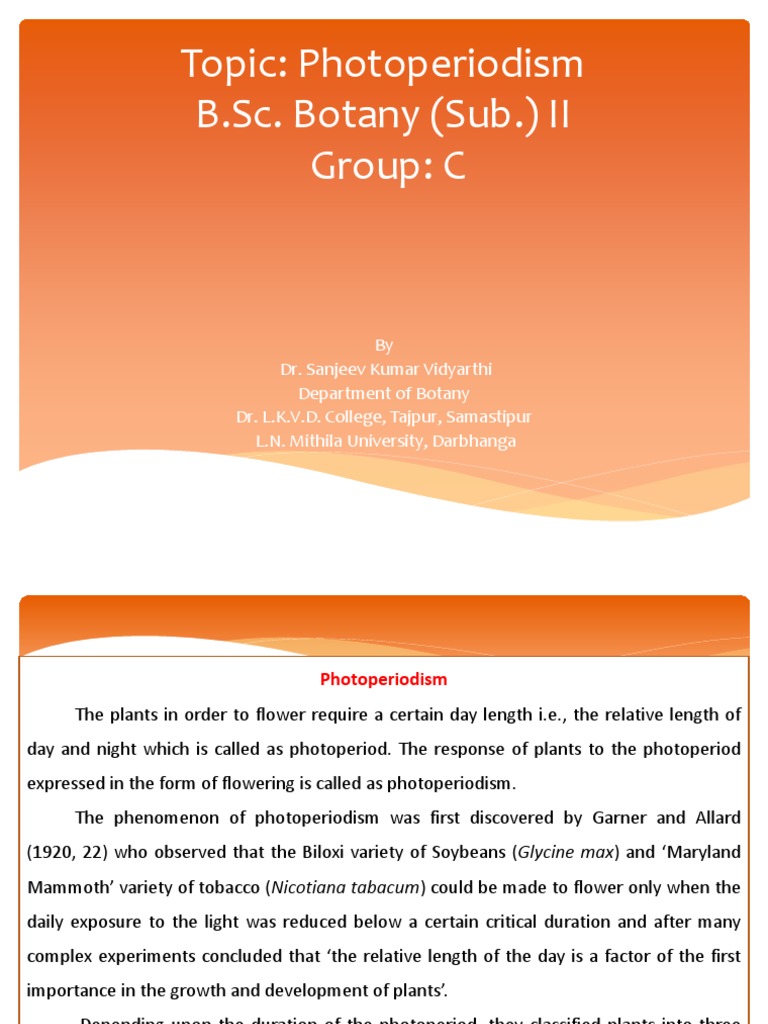 Understanding Photoperiodism in Plants | PDF | Botany | Plants