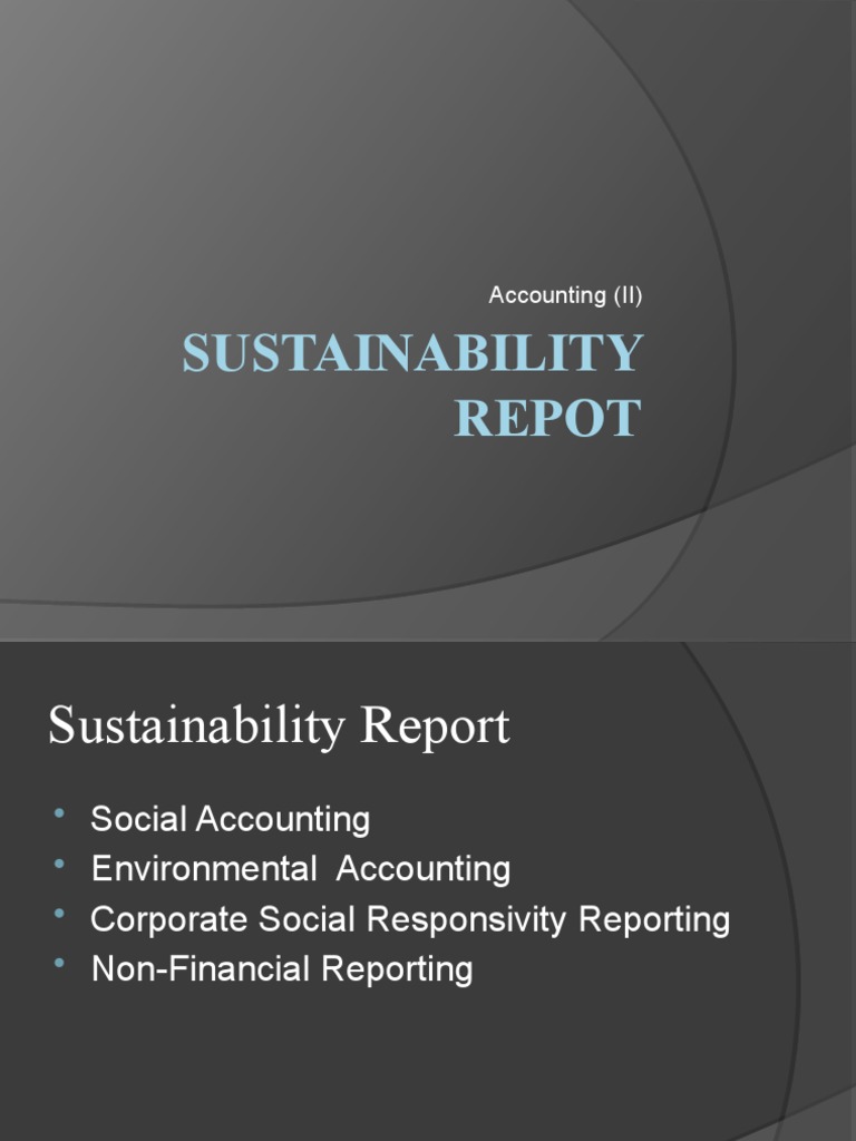 Sustainability Repot: Accounting (II) | PDF | Business | Finance ...