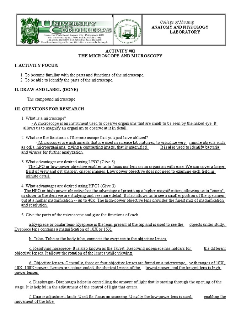 Activity 01 The Microscope And Micros Pdf Microscope Optical Devices