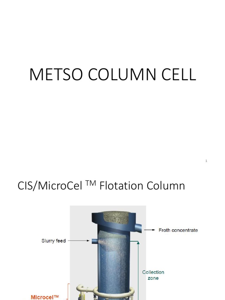 Metso Column Cell | PDF | Valve | Pump