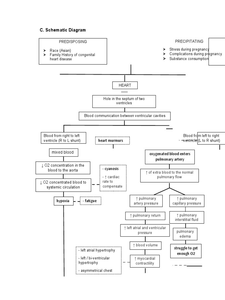 Path o Physiology | PDF | Heart | Ventricle (Heart)