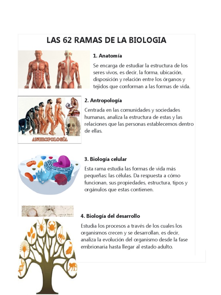 62 Ramas de La Biologia | PDF | Biología | Ingeniería biológica
