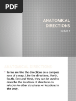 Frog Anatomy: Planes & External Parts | PDF | Anatomical Terms Of Location
