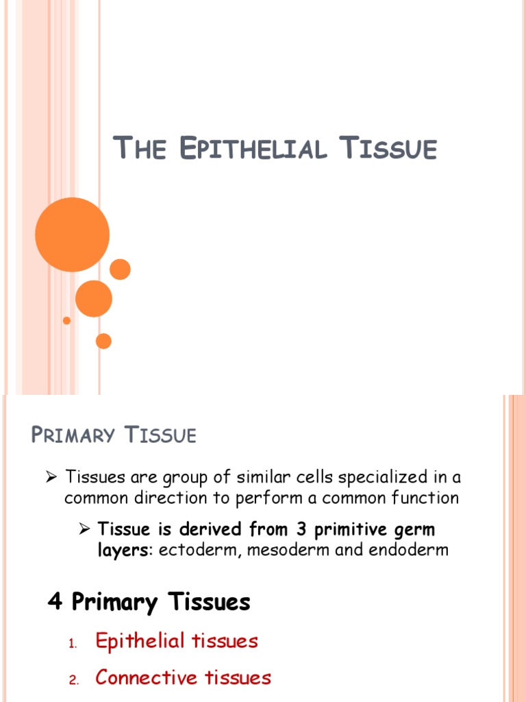 Module 2 Epithelial Tissue | PDF | Epithelium | Tissue (Biology)