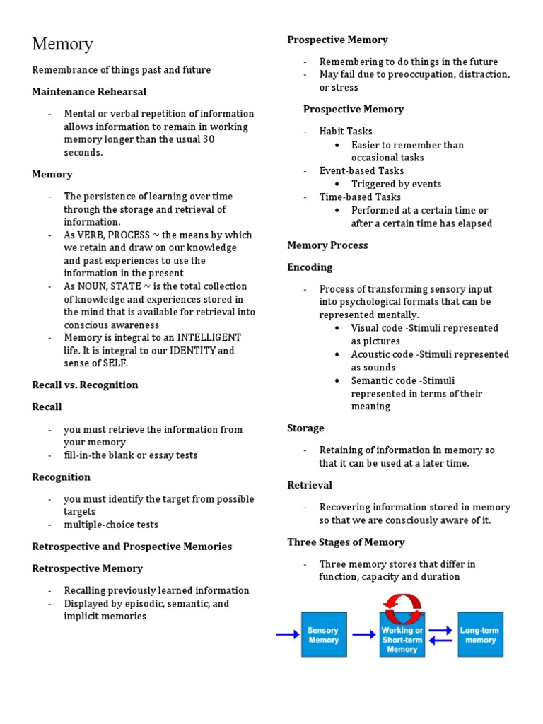 Memory | PDF | Memory | Recall (Memory)