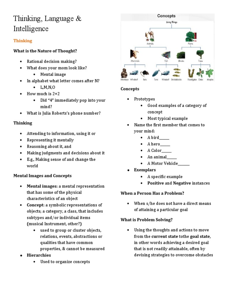 Thinking, Language & Intelligence | PDF | Intelligence Quotient | Thought