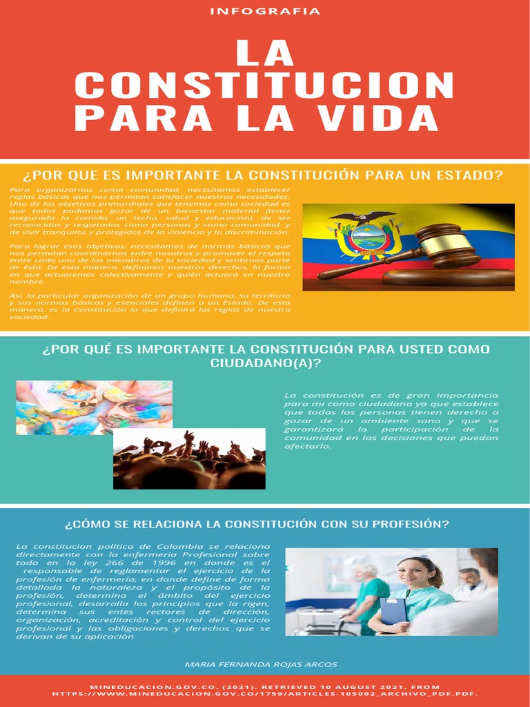 Infografia De La Constitucion Pdf Constitución Estado Política