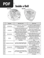 Cell Parts Functions Worksheet | PDF | Cell Nucleus | Cell (Biology)