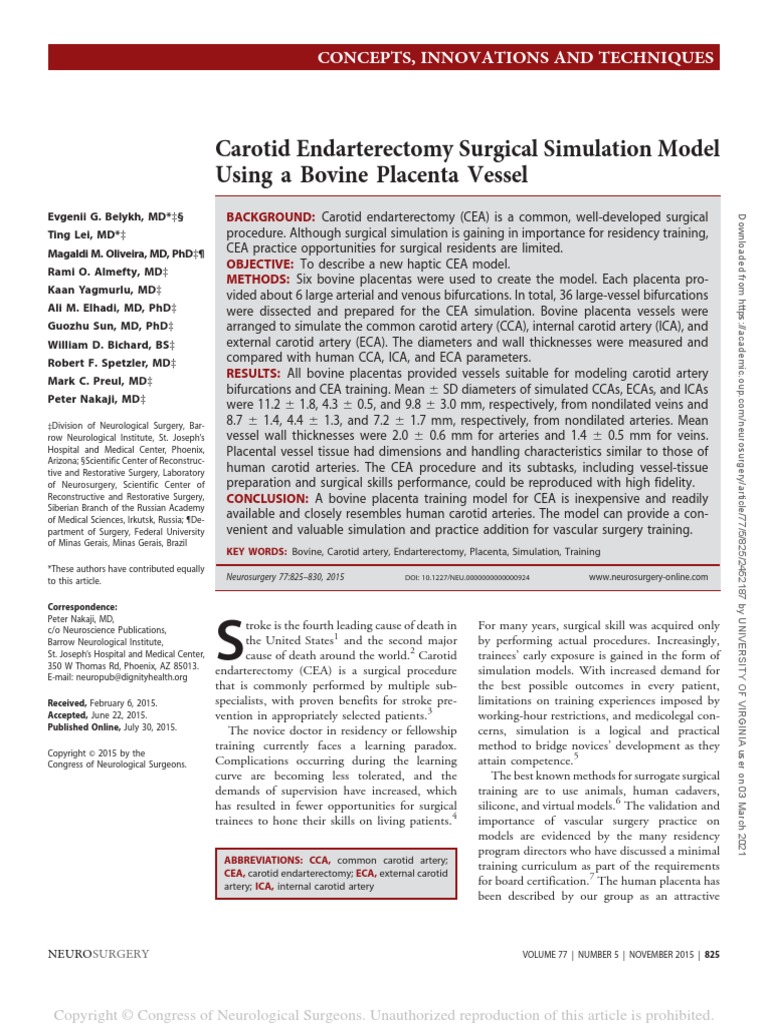 CAE Model | PDF | Artery | Surgery