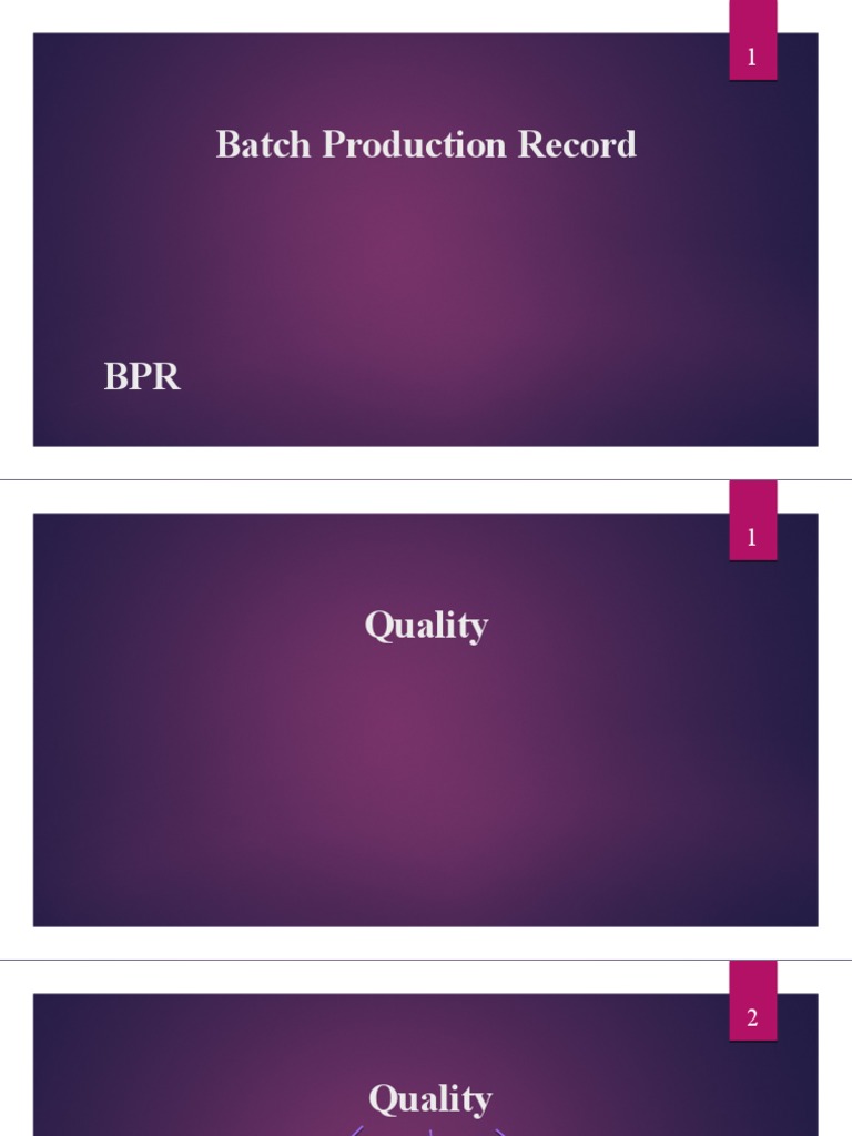 Batch Production Record | Download Free PDF | Audit