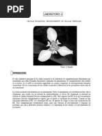 Cocori Libro Completo | PDF