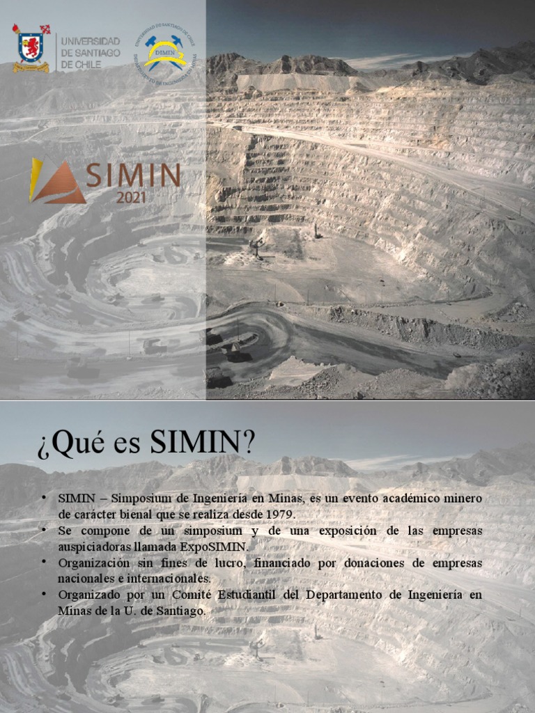 ¿Qué es el SIMIN? | PDF | Business