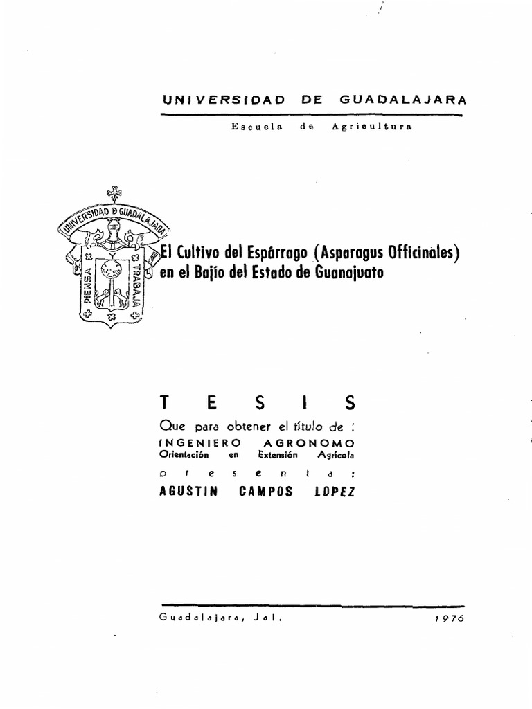 El Cultio Del Esparrago en El Bajio Del Estado de Guanajuato | PDF ...