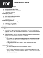 54 - Tamponnement Nasal Anterieur | PDF | Tête et cou chez l'humain ...