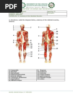 Anatomy of Movement PDF | PDF | Anatomical Terms Of Motion | Skeletal ...