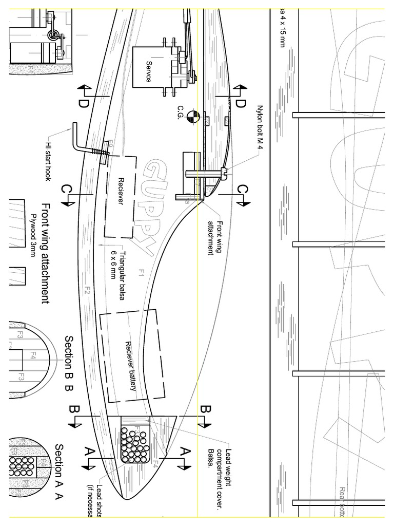 GUPPY Plan Sample | PDF