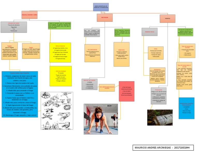 Mapa Conceptual | PDF | Hogar