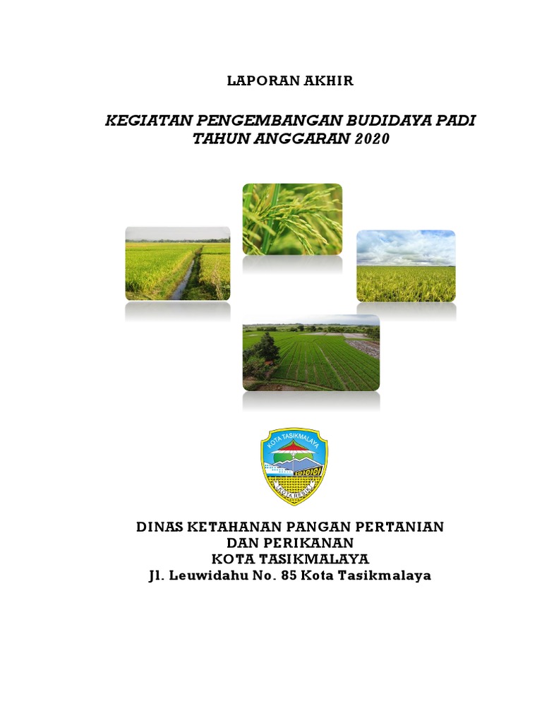 Laporan Akhir Kegiatan Pengembangan Budidaya Padi 2020 | PDF