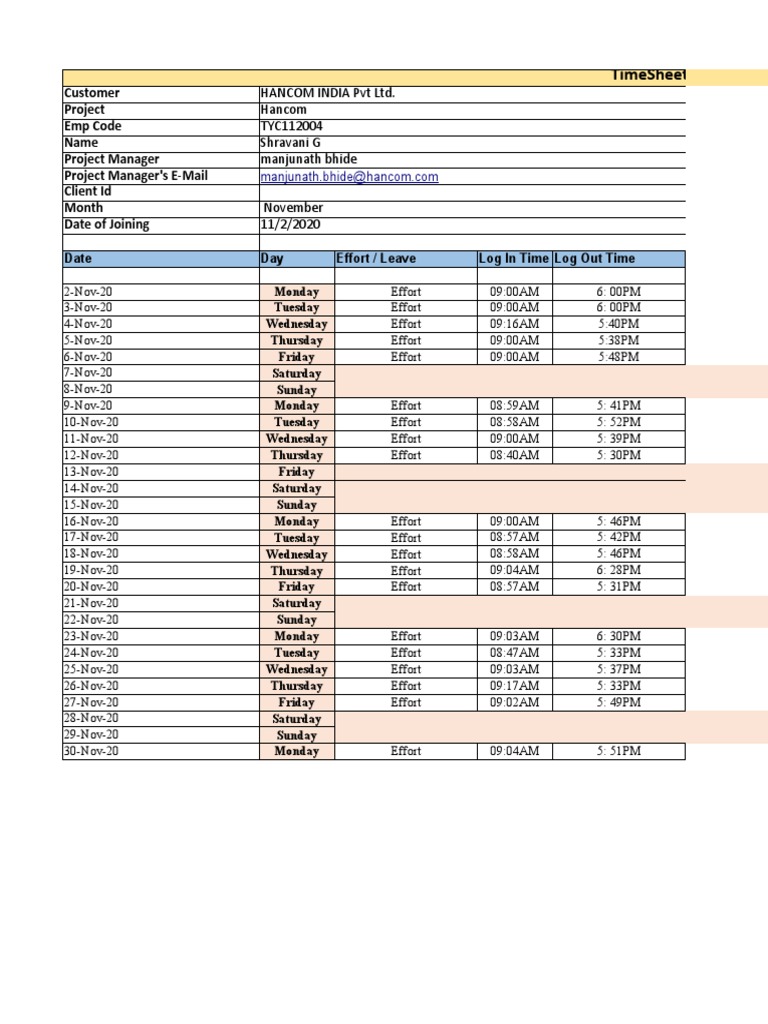 Timesheet For The Month Nov - 2020 | Download Free PDF | Systems ...