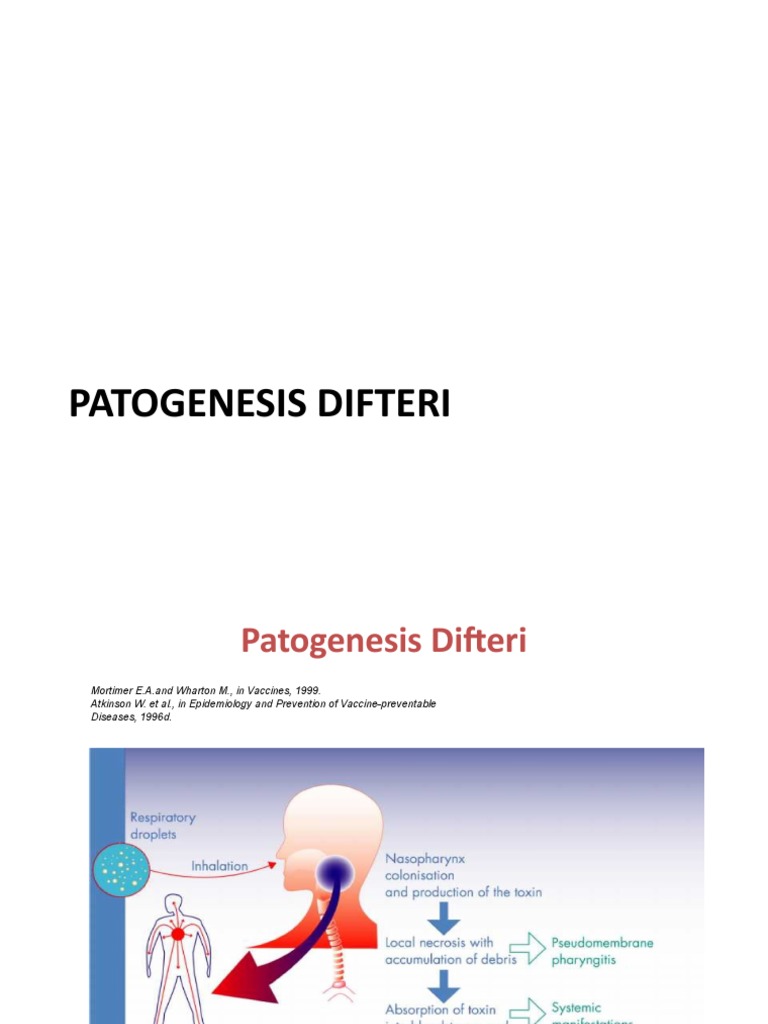 Patogenesis Difteri | PDF