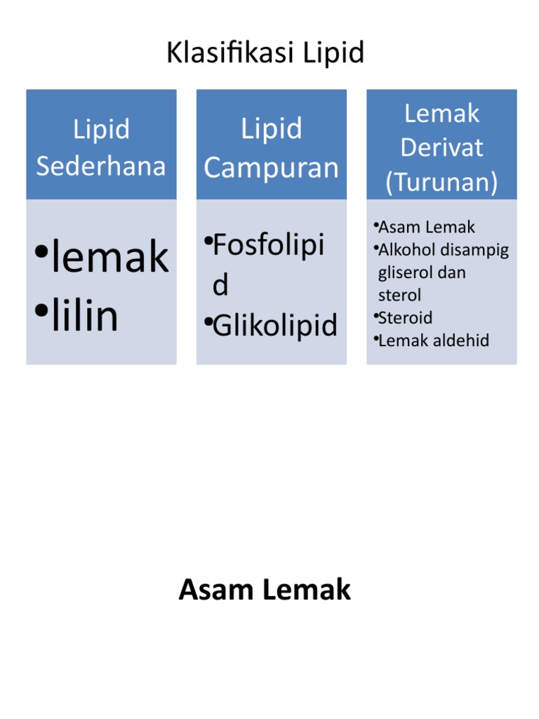 Klasifikasi dan Jenis-Jenis Lipid | PDF | Kesehatan Holistik ...