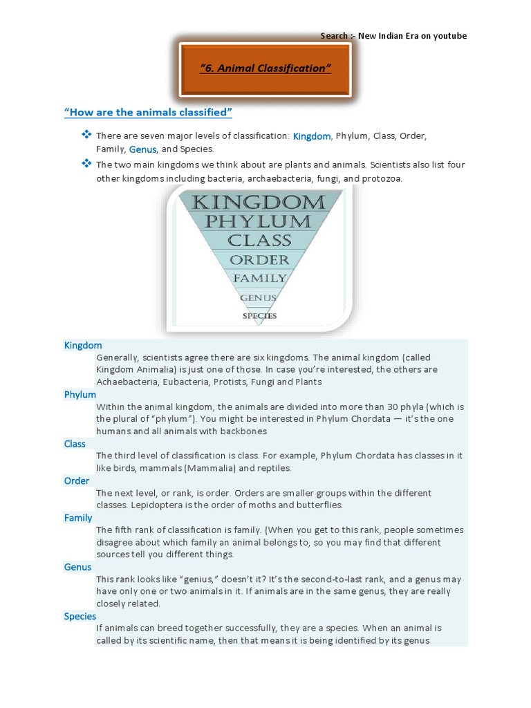 6.animal Classification Class 10 | PDF | Cell (Biology) | Microorganism