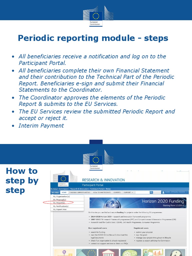 2 Periodic Reporting Module STEPS | Download Free PDF | Financial ...