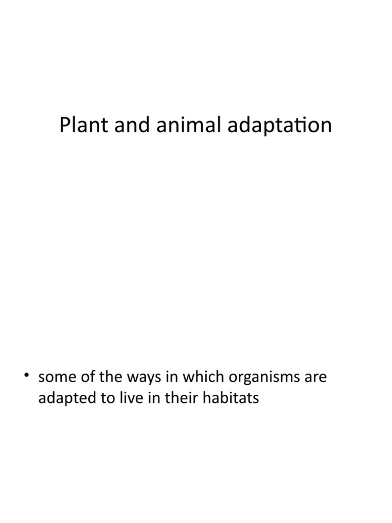 2.1 Plant and Animal Adaptation | PDF