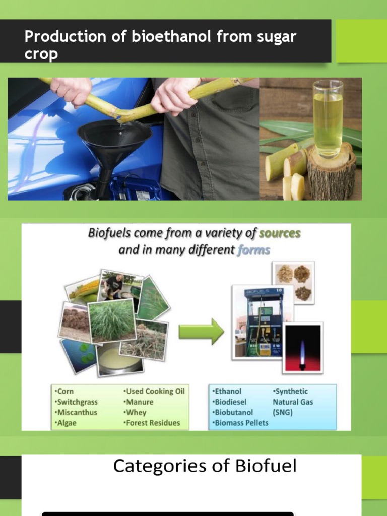 Bioethanol From Sugarcane | PDF