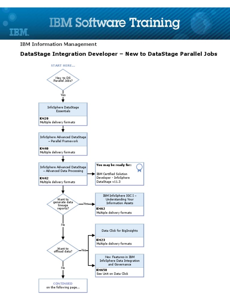 Datastage Integration Developer New To Datastage Parallel Jobs Pdf Ibm Computing