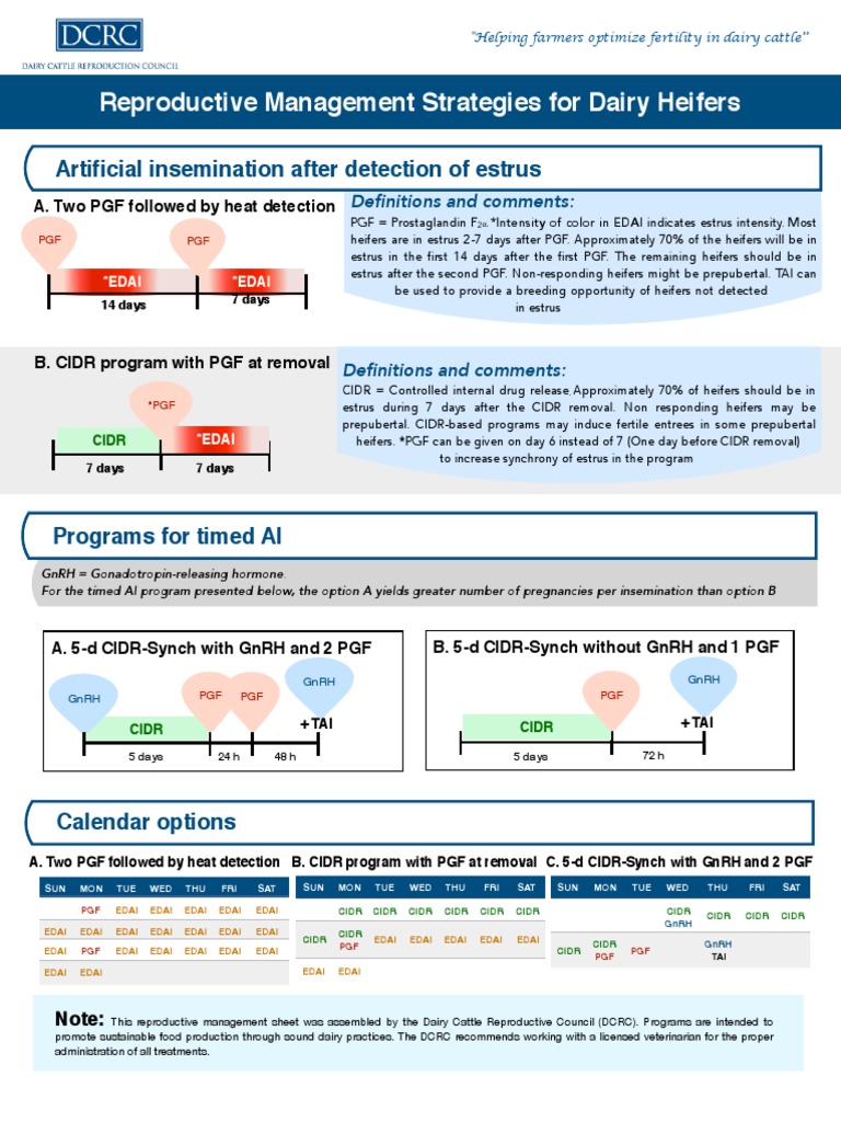 5-Day CIDR Synchronization Protocol | PDF | Cattle | Sexual Reproduction