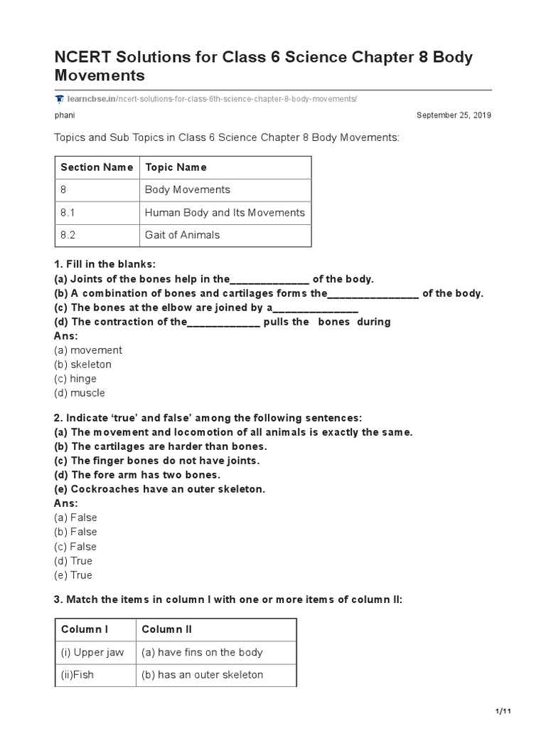 Class 6 Science Chapter 8 Body Movements | PDF | Skeleton | Shoulder