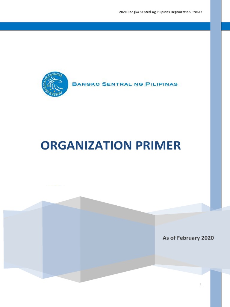 BSP Org Primer | PDF | Regulatory Compliance | Banks