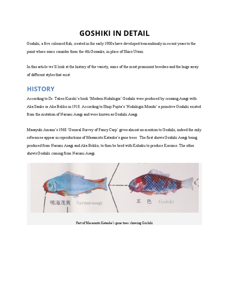 GOSHIKI IN DETAIL: A GUIDE TO THE HISTORY, BREEDERS AND STYLES OF THIS ...