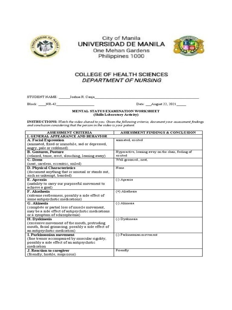 A Diagnosis of Mania: Mental Status Examination of a Patient Exhibiting ...