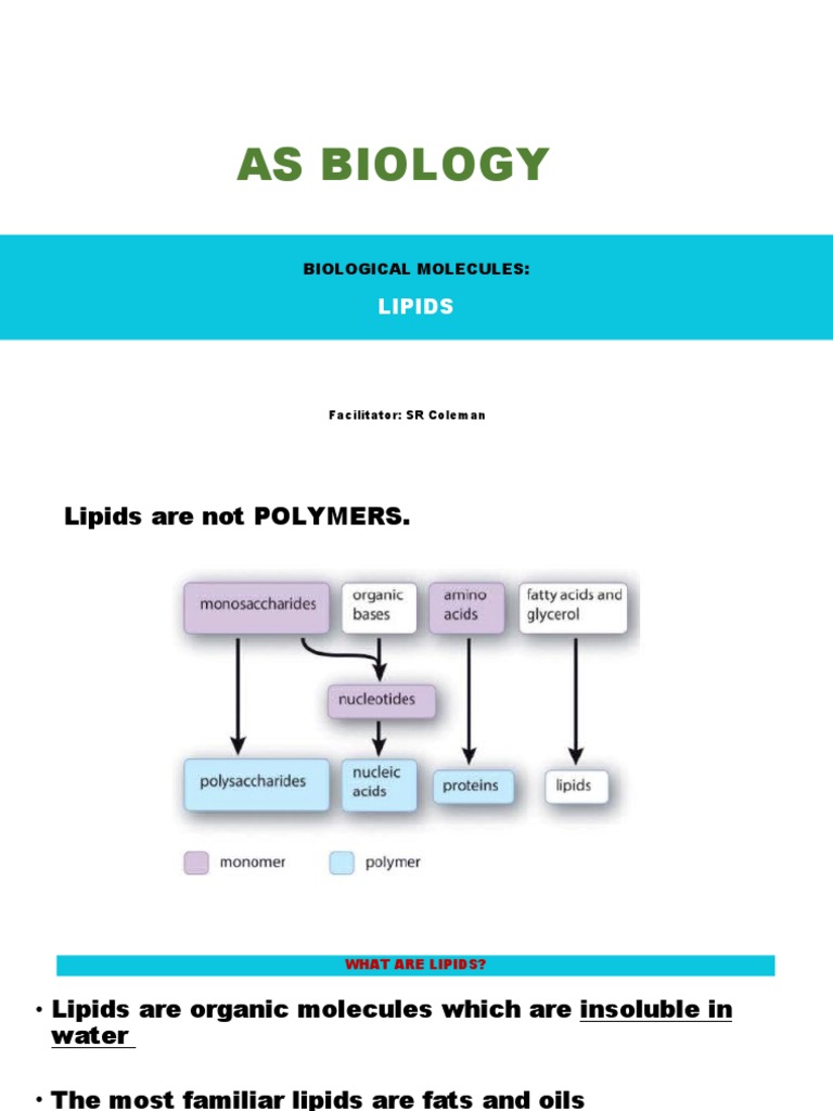 Understanding Lipids and Fatty Acids | PDF | Lipid | Triglyceride