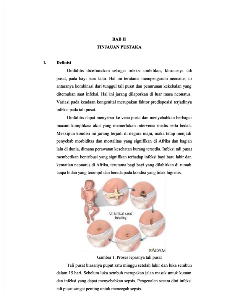 PDF Laporan Kasus Omphalitis II Iiidocx Compress | PDF